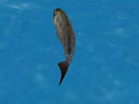 Second Life Marketplace - Swimming Snapper - Mesh - Full Perm