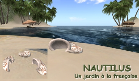 Second Life Marketplace - NAUTILUS - shells - seashell - nautile