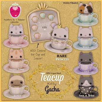 Second Life Marketplace - RazzBerry Inc. & Turducken Teacup Kitty (Calico)
