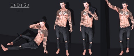 Second Life Marketplace - [InDiGo] Andre Poses Pack