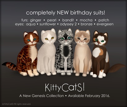 Second Life Marketplace - KittyCatS! 5 Pairs Of Kittens