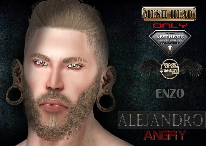 Second Life Marketplace - Aesthetic -PachaEwing- Mesh Head "Alejandro ...