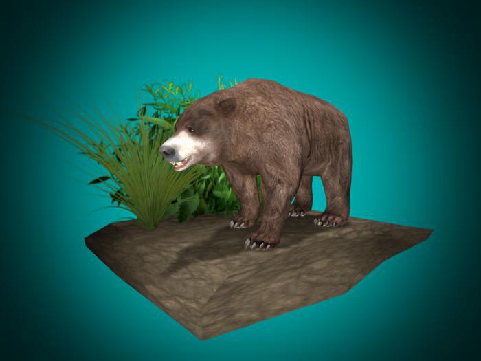 Second Life Marketplace - {PpP}Animal Series Bear in the Woods Tipjar