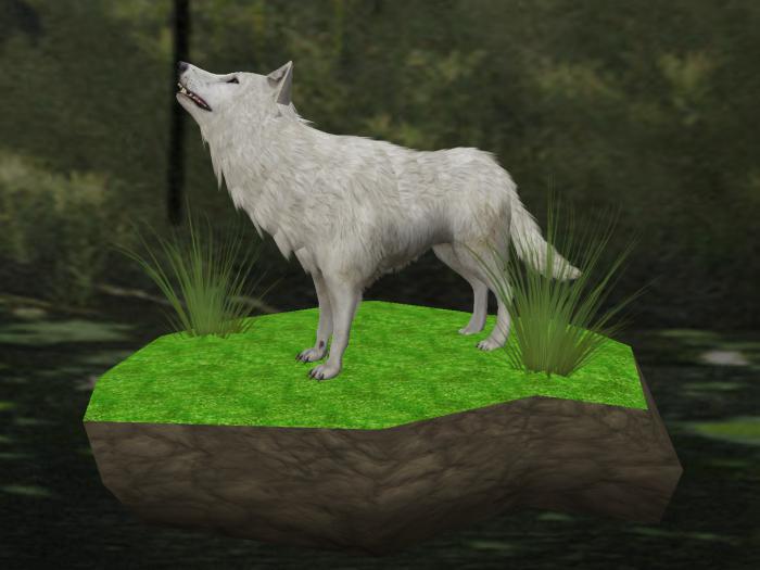 Second Life Marketplace - {PpP} Animal Series White Wolf Tipjar