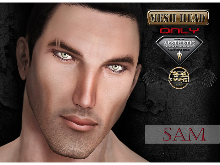 Second Life Marketplace - -Aesthetic -PachaEwing- Mesh Head "Sam"ENZO
