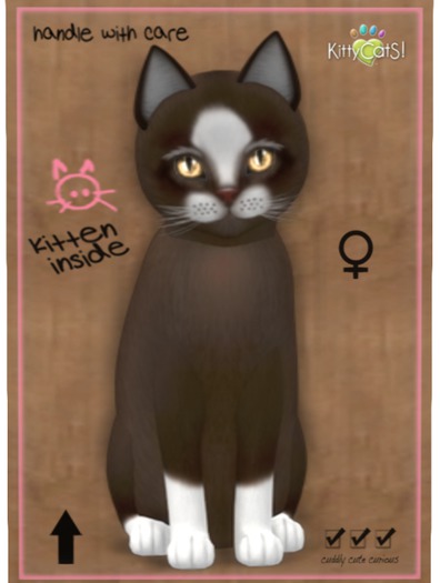 Second Life Marketplace - 7T Chateau Cat - Coffee & Cream No. 1 (female)