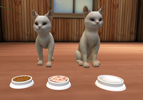 Second Life Marketplace - White Cat