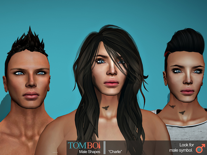 Second Life Marketplace - [ tomboi ] Shapes - Male - Charlie