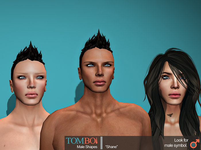 Second Life Marketplace - [ tomboi ] Shapes - Male - Shane - Demo