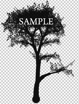 Second Life Marketplace - 16 different Tree Shadow Textures