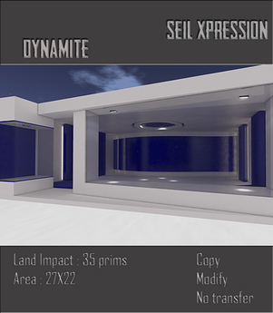 Second Life Marketplace - .:. Seil Xpression .:. Dynamite Store Prefab