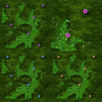 Second Life Marketplace - Fantasy Terrain Textures Full Perm