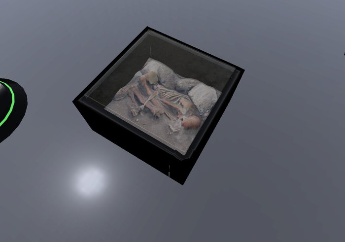 Second Life Marketplace - 3D SKELETON DISPLAY BOX (unspecifed) - you ...