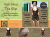 Second Life Marketplace - Wild Mint - Tea Slip v.1.2 DEMO (Boxed)