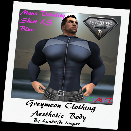 Second Life Marketplace - (LL) Mens Vitality Shirt LS Blue (Aesthetic)