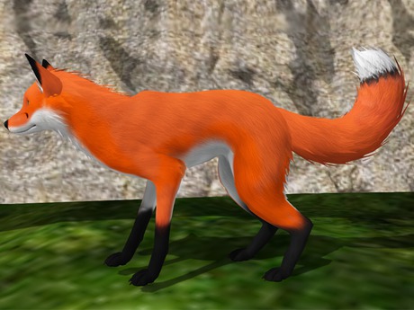 Second Life Marketplace - Happy Paw - Mod red Fox for TWI FOX