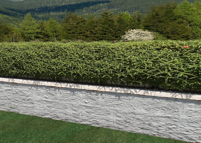 Second Life Marketplace - Hedge over White Wall, Bush Hedge Privacy ...