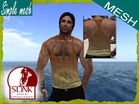 Second Life Marketplace - SM Silver Macho Stringer SLINK