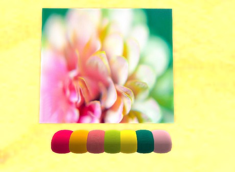 Second Life Marketplace - **How About That....Texture!**Colors Of Bloom ...