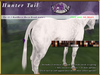 Second Life Marketplace - *E* Hunter Tail [BOXED] RH 15.2