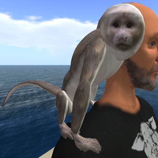 Second Life Marketplace - PRIMape-White Face Monkey Adult v1.1.copy