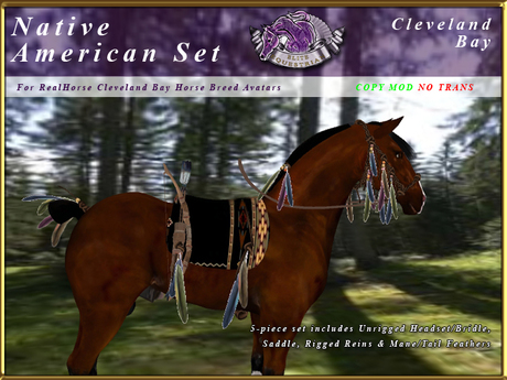 Second Life Marketplace - *E* Native American Set [BOXED] RHCB