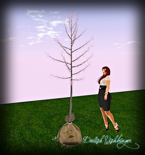 Second Life Marketplace - Sakura Sapling Tree 3LI