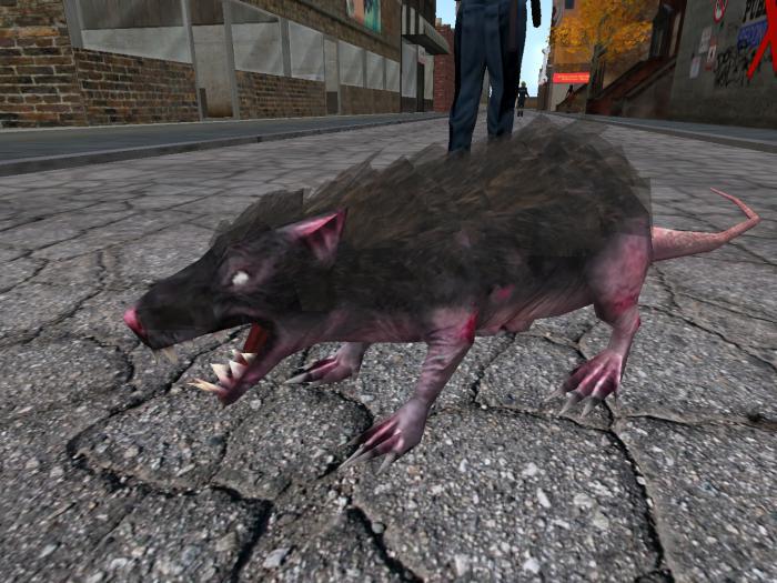 Second Life Marketplace - {PpP} Zombie Apocalypse Black Rat TIpjar