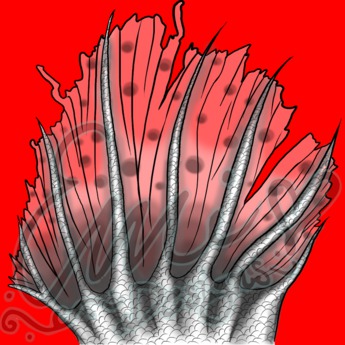 Second Life Marketplace - Mermaid Back Fin