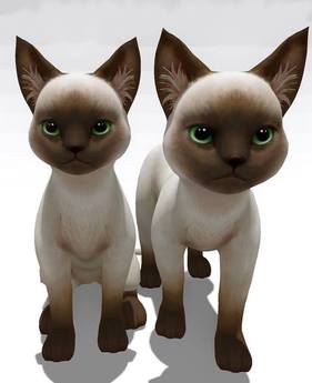Second Life Marketplace - Brown Cats - Sititng and Standing