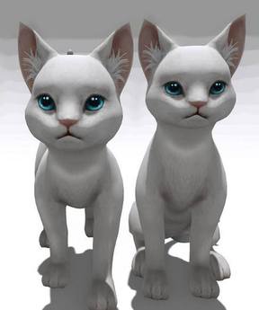Second Life Marketplace - Snow White Cats - Sitting and Standing