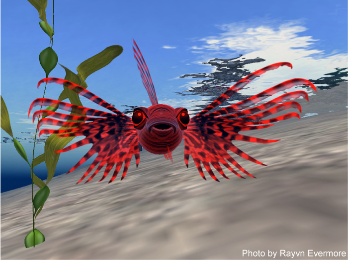 Second Life Marketplace - (7S) SuperUltraRare Fish: Shift Lionfish