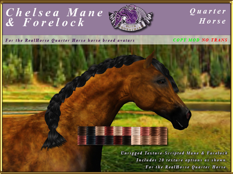 Second Life Marketplace - *E* Chelsea Mane & Forelock Set [BOXED] RHQH