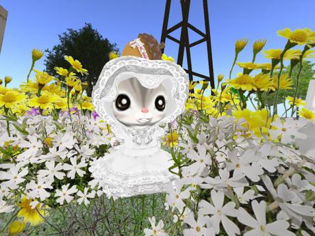 Second Life Marketplace - :Risusipo:DEMO_Chipmunk_Girl_mesh_avatar_boxed