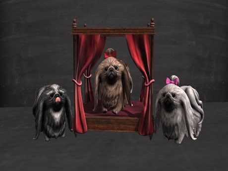 Second Life Marketplace - 10. *HEXtraordinary* Perky Pekingese ...