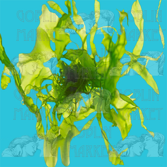 Second Life Marketplace - Seaweed Textures: Commercial