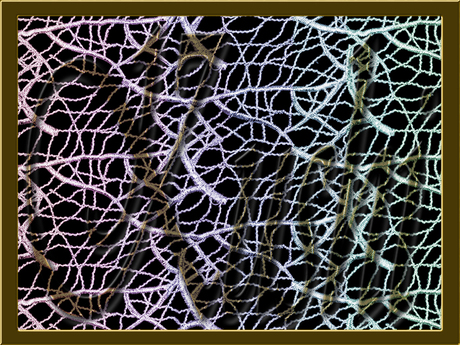 Second Life Marketplace - Amazing Lace ALPHA Fabric Seamless Textures