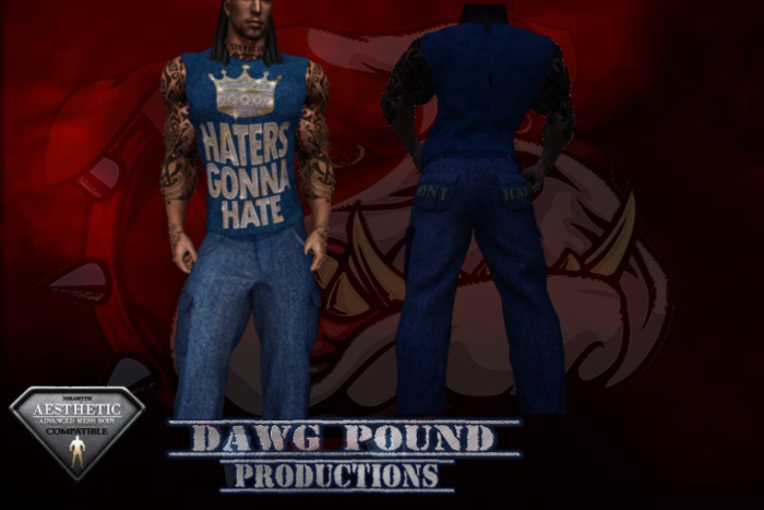 Second Life Marketplace - *Dawg Pound Productions* Aesthetic Haters ...