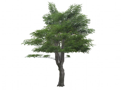 Second Life Marketplace - OPQ Green Tree 13a-c - Low lag, low land ...