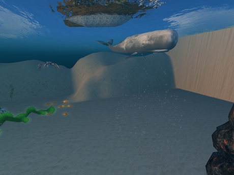 Second Life Marketplace - The Big Fish set (crate)