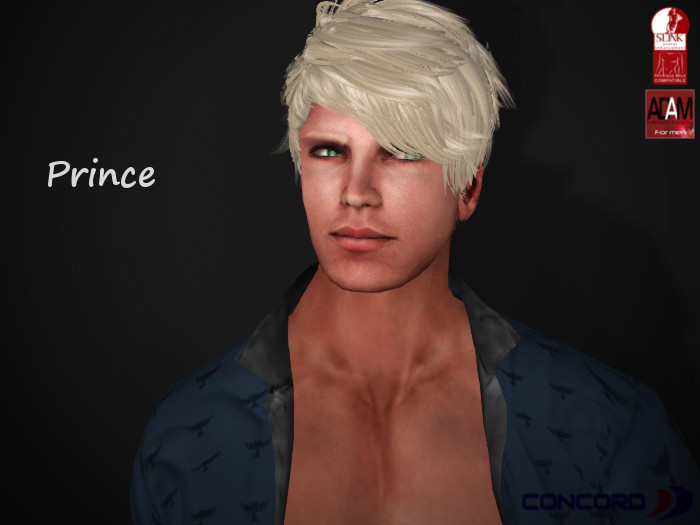 Second Life Marketplace - ::::CONCORD:::: Prince skins and MOD shape ...