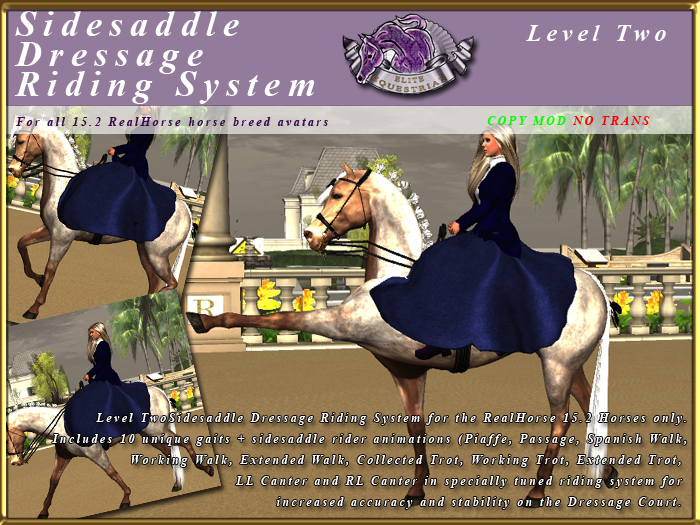 Second Life Marketplace - *E* Level Two RH Sidesaddle Dressage Riding ...