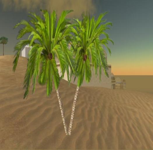 Second Life Marketplace - Palm Tree # 2 (copyable version)
