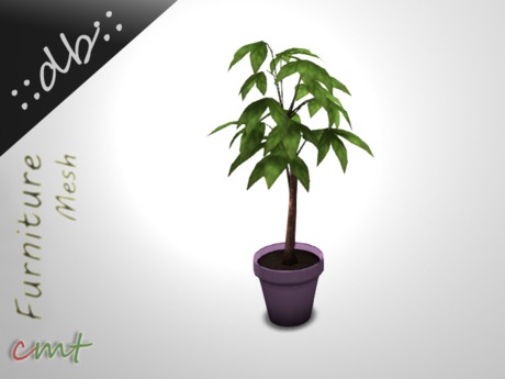 Second Life Marketplace - ::db:: Potted Tree in Container III