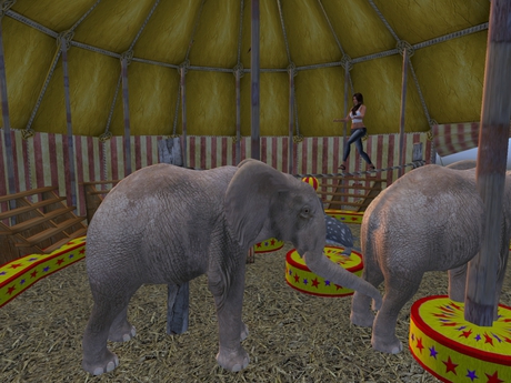 Second Life Marketplace - 7 pc, Big Top Circus (crate)