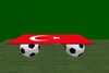 Second Life Marketplace - Soccer table big turkey - transfer