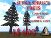 Second Life Marketplace - LANDSCAPING : PINE TREE / SITKA SPRUCE TREES SET