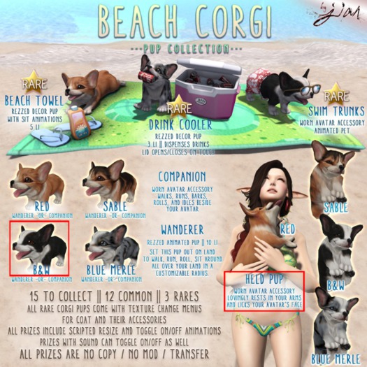 Second Life Marketplace - JIAN Beach Corgis BOX :: Held Pup B&W