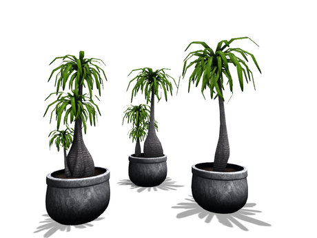 Second Life Marketplace - ..::LD::..Tropical Plants