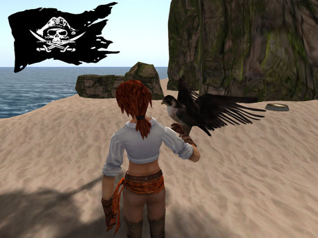 Second Life Marketplace - NaS-T Roaming Falconer NPC Period Mesh Raptor ...